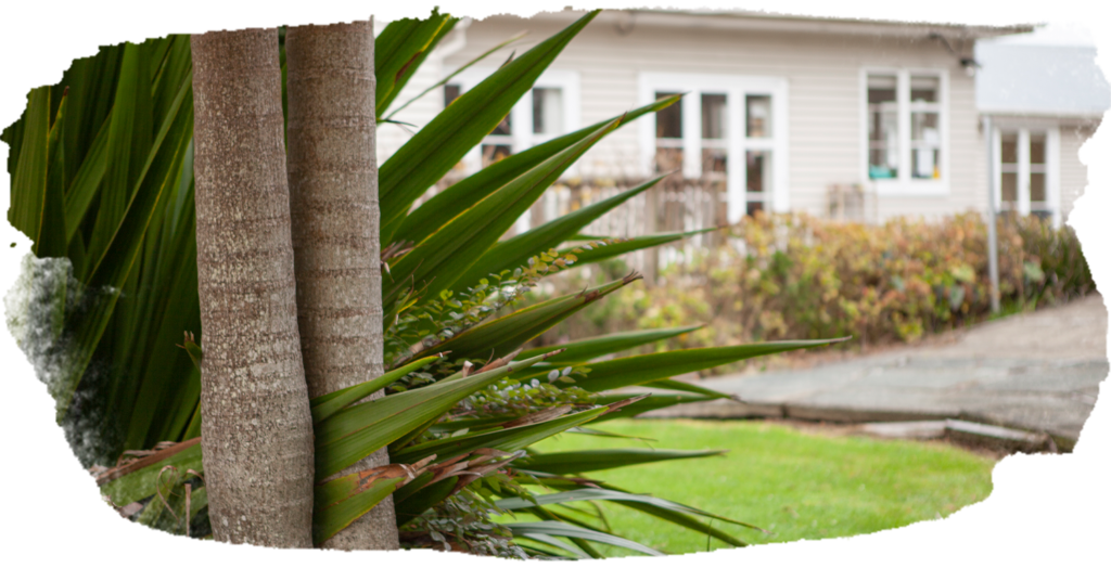 Peer Led Services - Ember